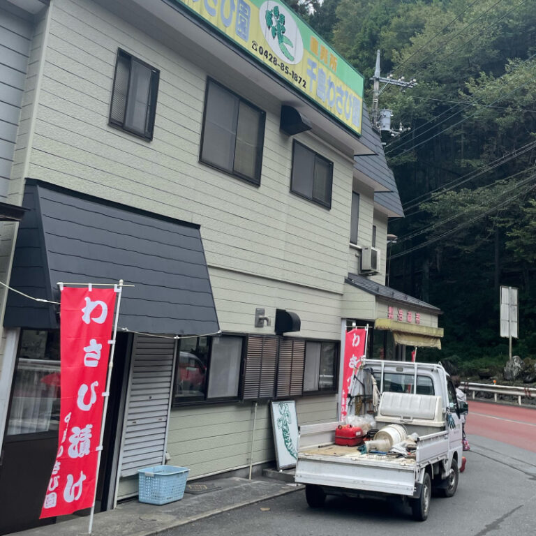 オープンドライブ11 奥多摩編｜東京産ワサビで新鮮ワサビ丼を食べてみた！