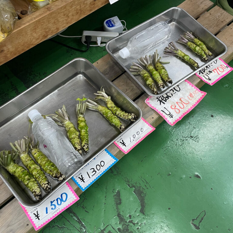 オープンドライブ11 奥多摩編｜東京産ワサビで新鮮ワサビ丼を食べてみた！